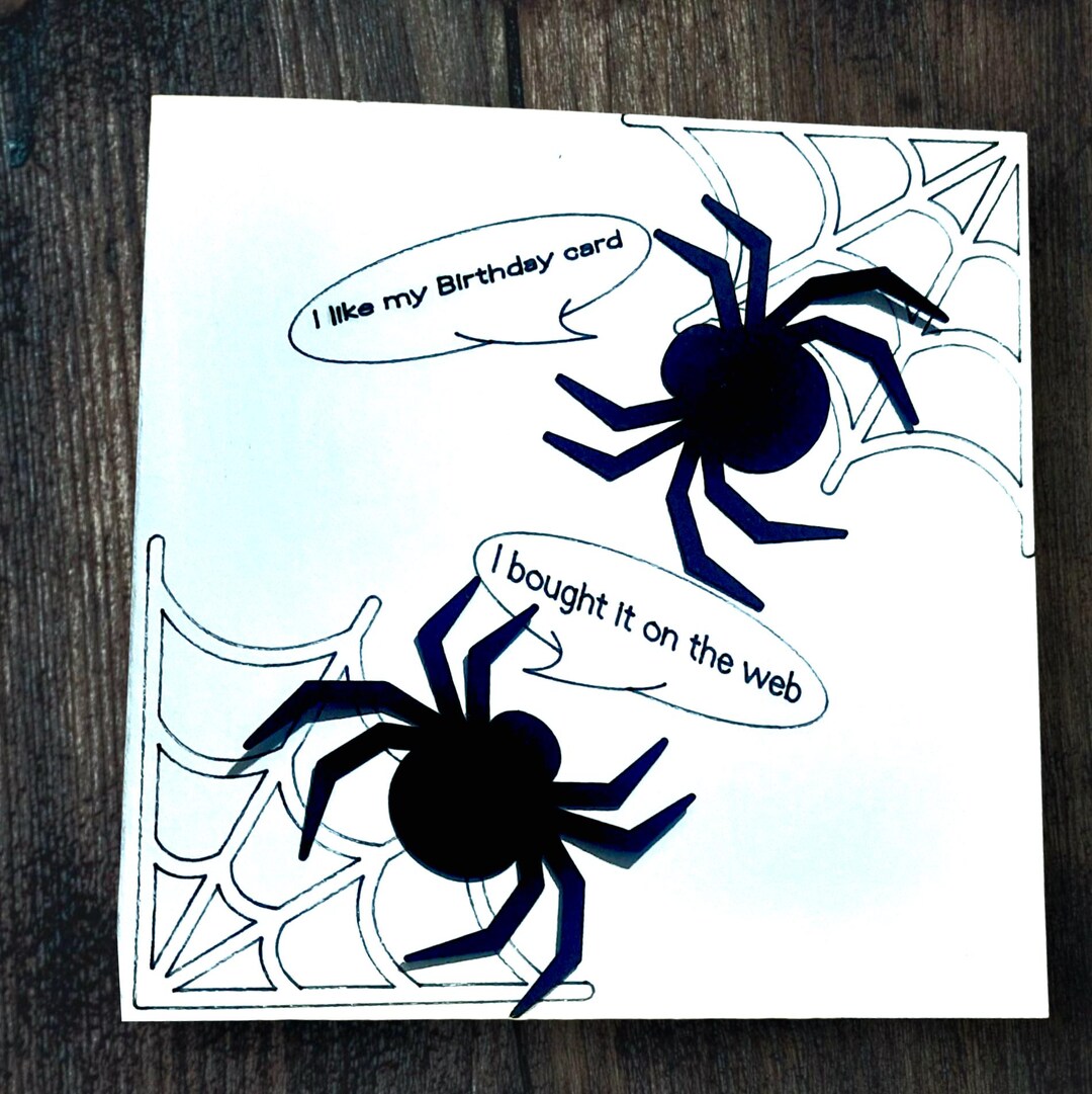 Funny Spider Birthday Card: Handmade Spiderweb Pun Card - Etsy