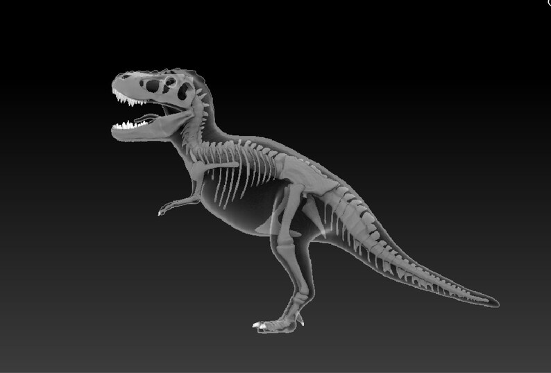 T-rex Anatomy Skeleton Full 3D Body of Dinosaur Tyrannosaurus Rex - Etsy