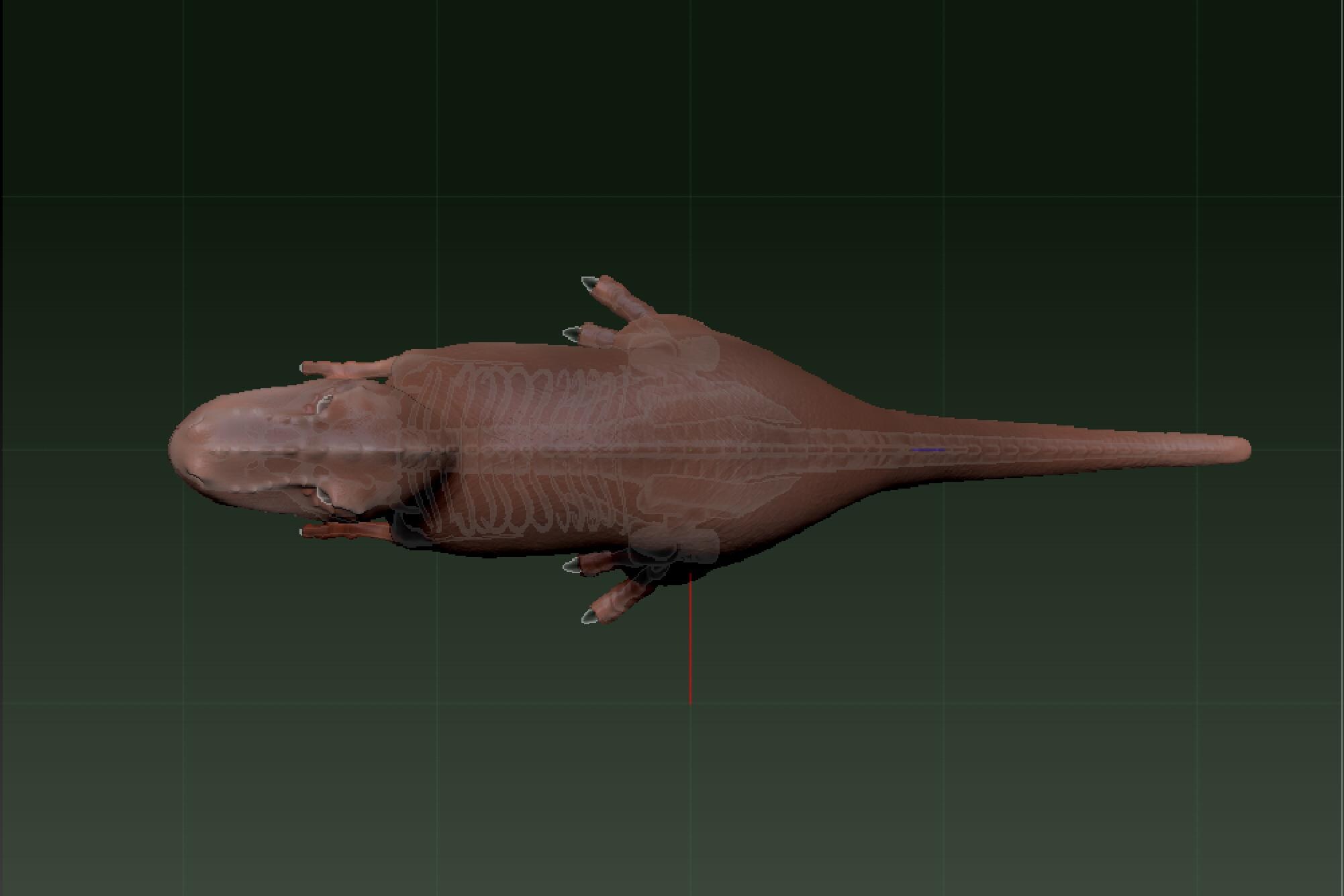 T-rex Anatomy Skeleton - Full 3D Body of Dinosaur Tyrannosaurus Rex - Etsy