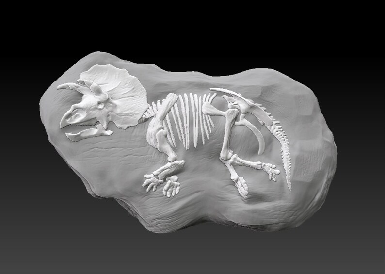 Triceratops Fossil Rock - 3D Skeleton of Triceratops Dinosaur - Etsy