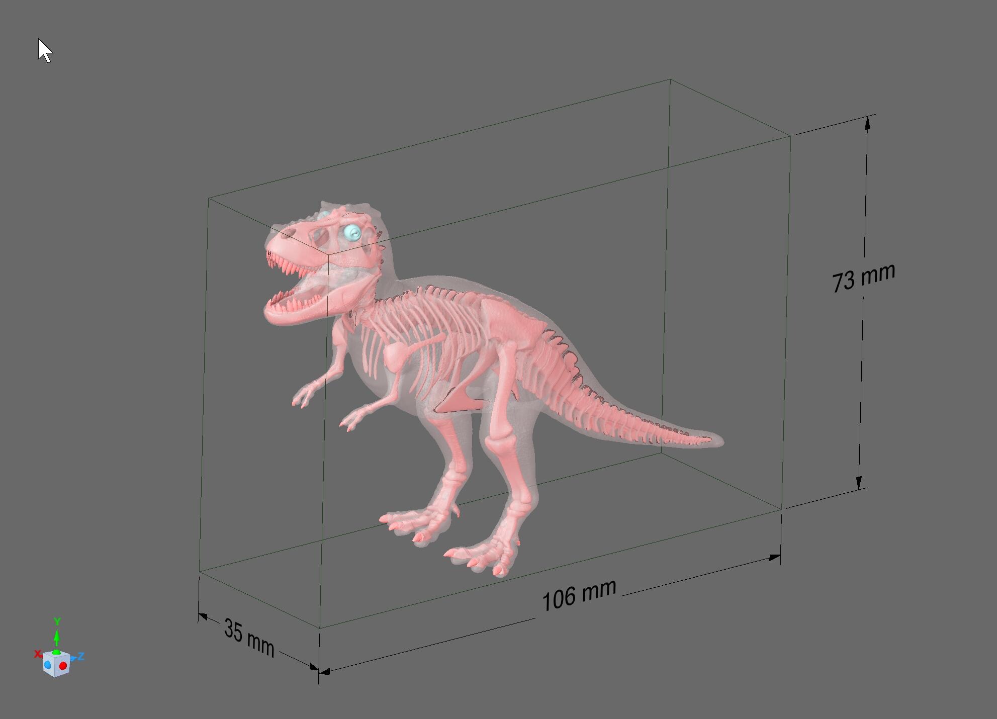 T-rex Anatomy Skeleton - Full 3D Body of Dinosaur Tyrannosaurus Rex - Etsy