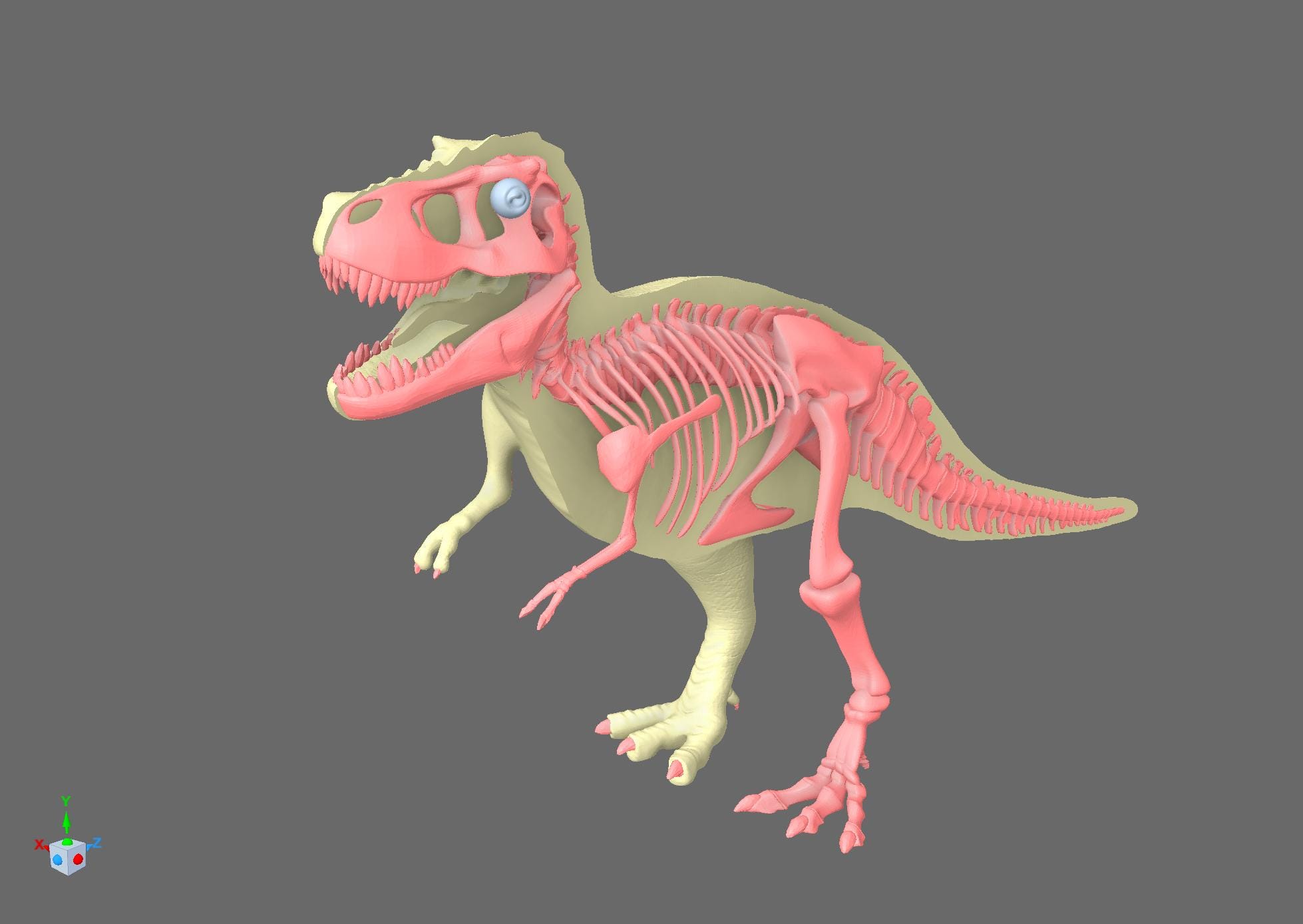T-rex Anatomy Skeleton - Full 3D Body of Dinosaur Tyrannosaurus Rex - Etsy