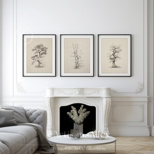 Tree Sketch Art Set | Botanical Wall Art Trio | Vintage Woodland Prints ...