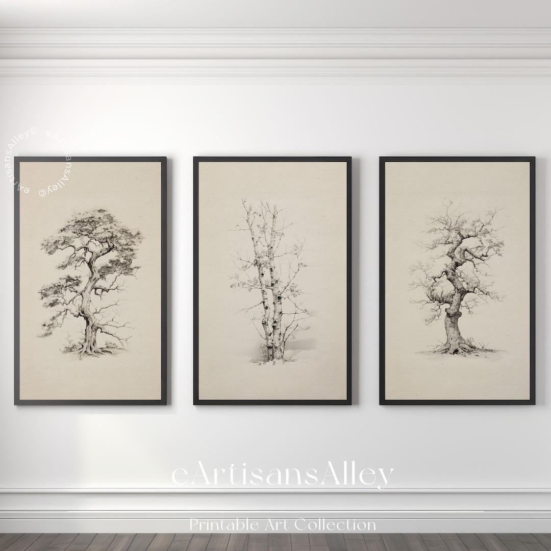 Tree Sketch Art Set | Botanical Wall Art Trio | Vintage Woodland Prints ...