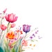 10 Spring Flower Border Clipart, Watercolor Vibrant Flowers PNG ...