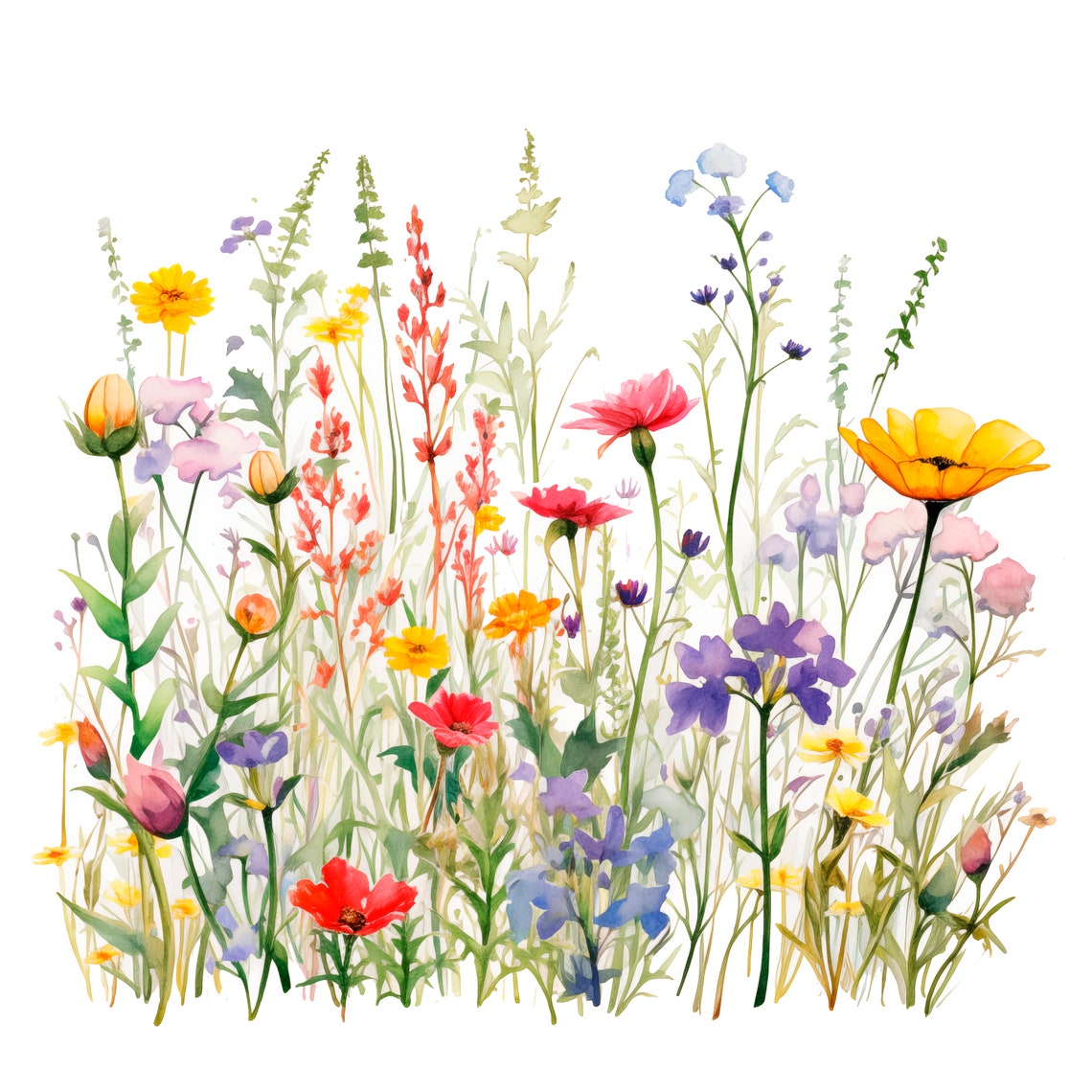 10 Wildflower Meadow Clipart Png,summer Floral Nature Images,wild Flowers for Print,collage ...