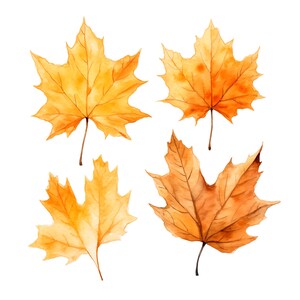 10 PNG Watercolor Fall Leaves Clipart, Autumn Leaves Clipart, Fall Leaf ...