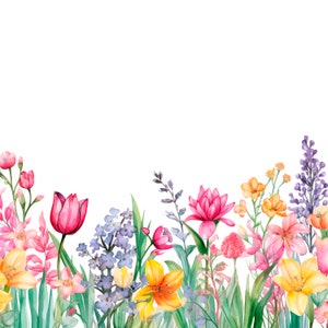 10 Spring Flower Border Clipart, Watercolor Vibrant Flowers PNG ...