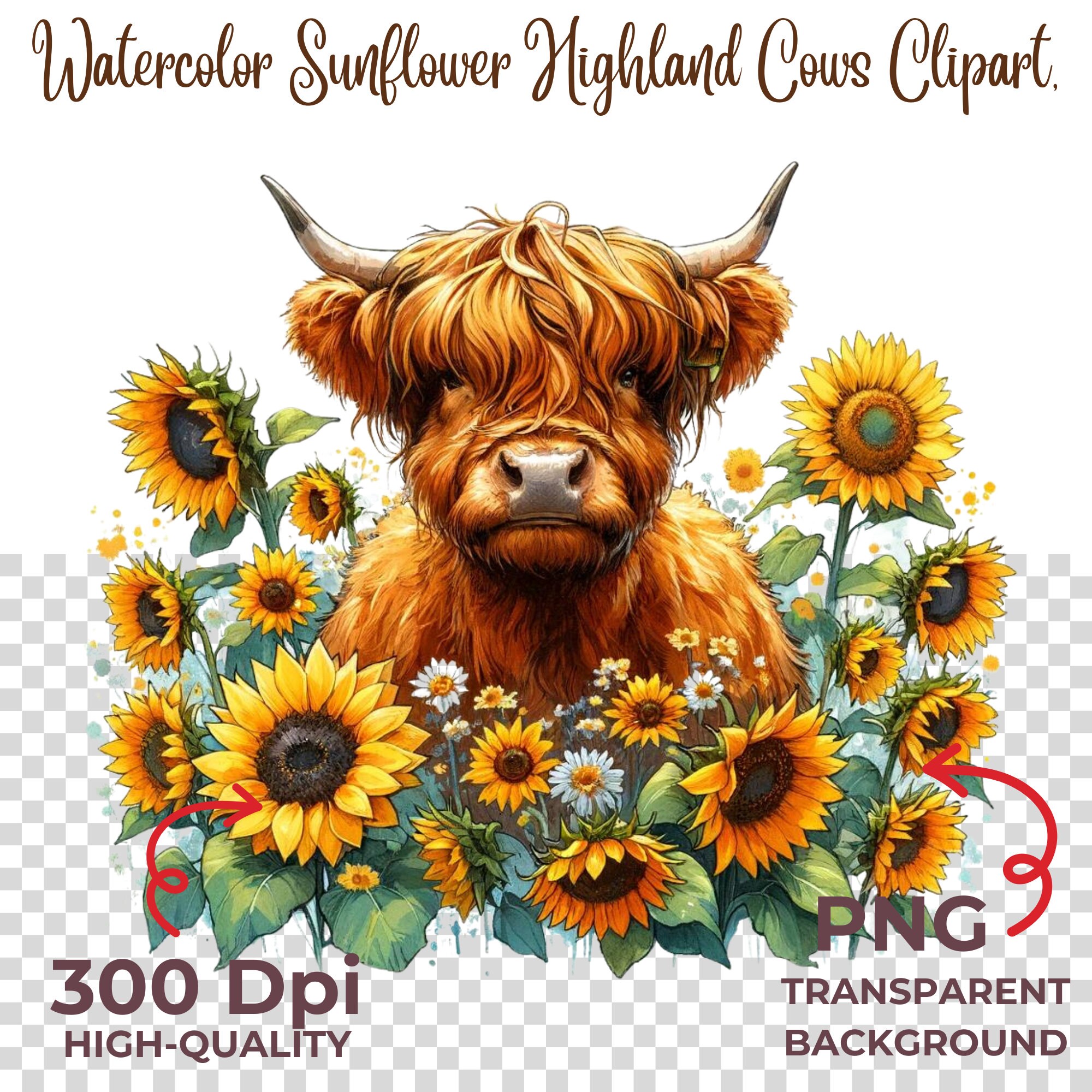 Watercolor Sunflower Highland Cows Clipart, 20 PNG Sunflowers Clipart ...