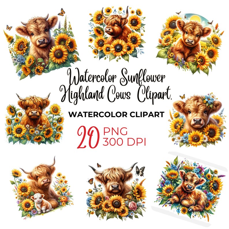 Watercolor Sunflower Highland Cows Clipart, 20 PNG Sunflowers Clipart ...