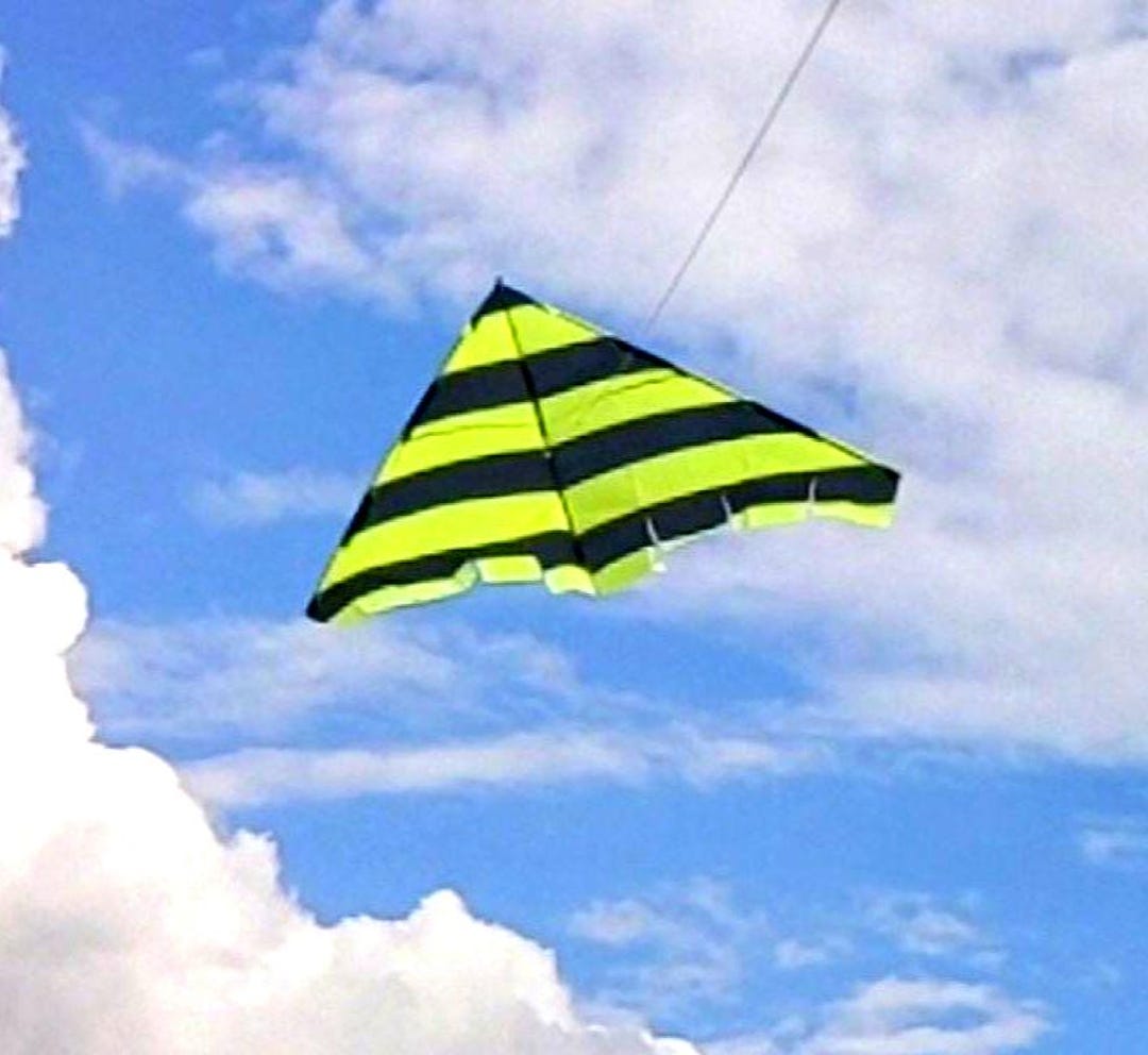 Handmade Bumblebee Delta Kite: Easy-fly Ripstop Nylon Kite - Etsy