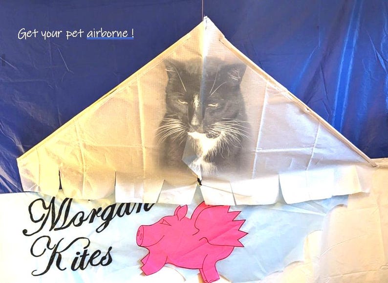 Morgan Kites Custom Delta Kite: Handmade in GB. Personalised With Your ...