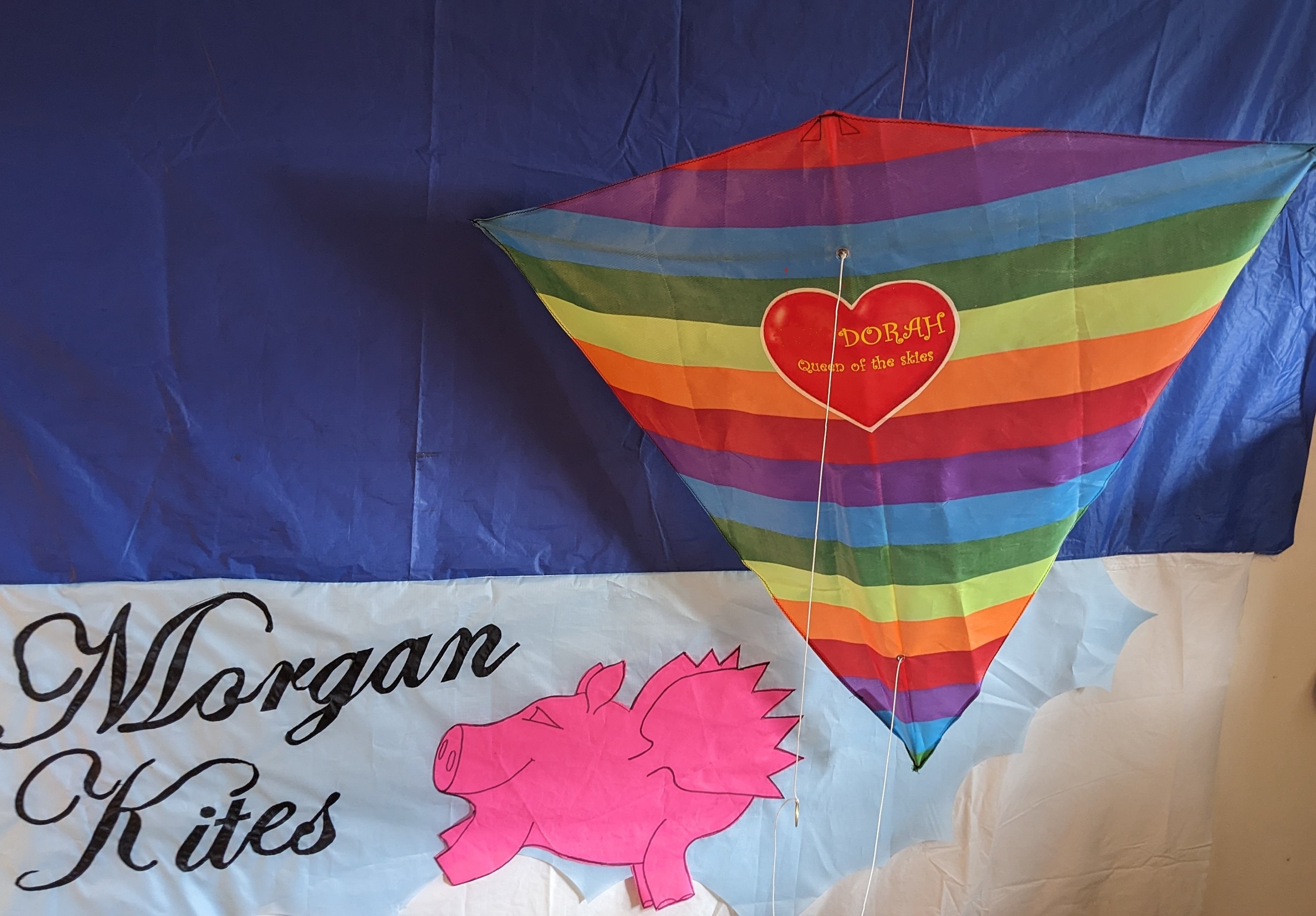 Personalised Diamond Kite From Morgan Kites . Handcrafted in GB - Etsy
