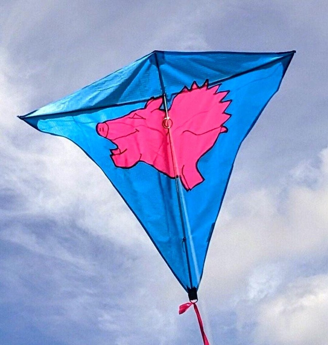 Handcrafted Flying Pig Kite: Easy to Launch, Ripstop Fabric - Etsy