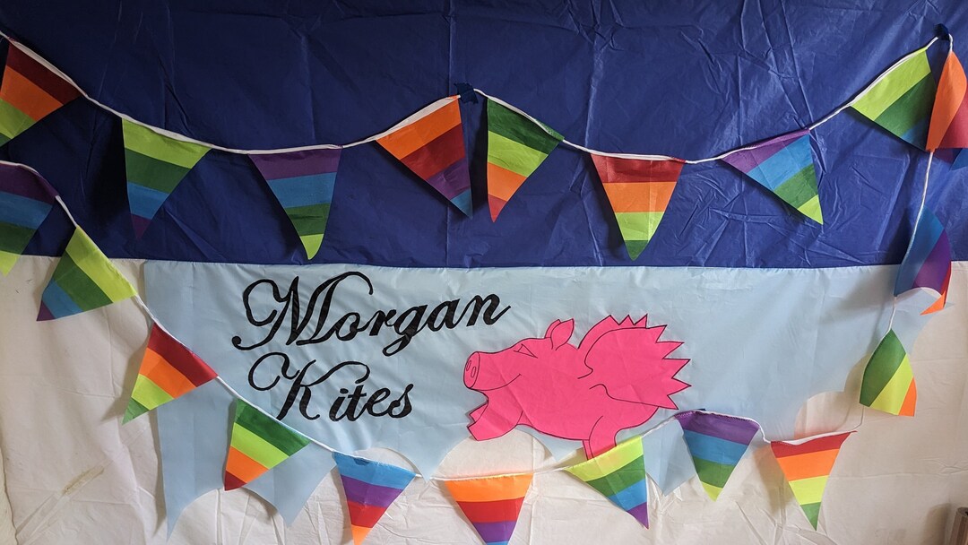 Bunting Indoor / Outdoor Rainbow Party Bunting for Any Occasion. - Etsy