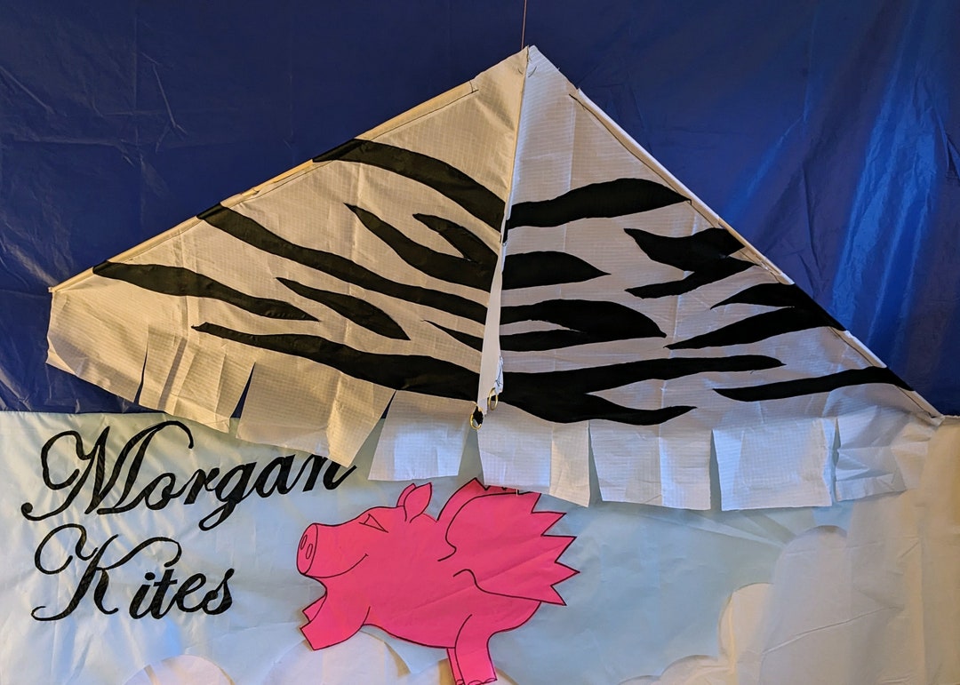 Zebra Delta Kite by Morgan Kites. Beautiful Original Handmade Kite ...