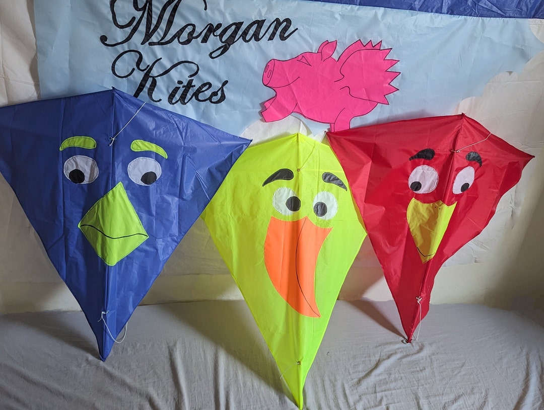 Wacky Birds by Morgan Kites - Etsy