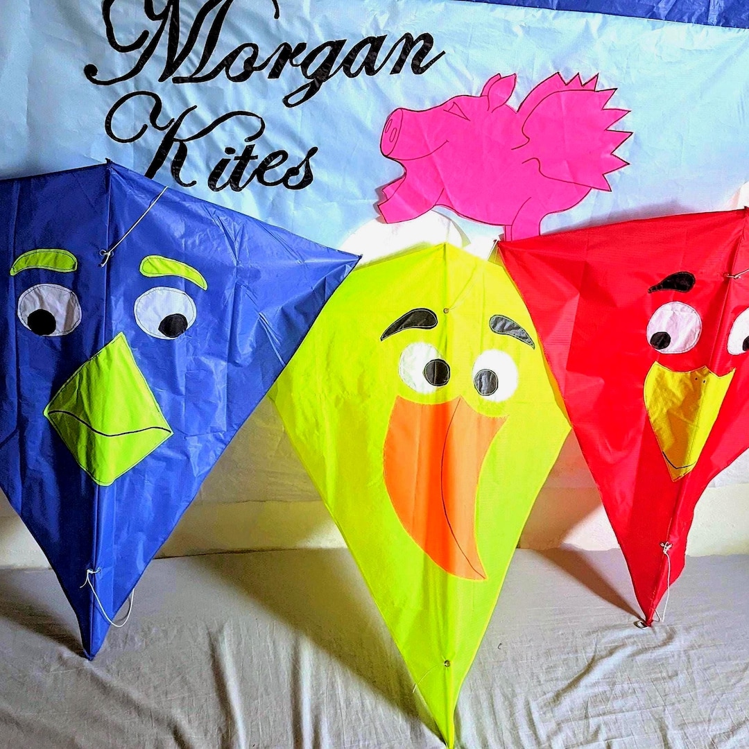 Wacky Birdie Kite: Handcrafted in GB. Applique Sewn Design. Ripstop ...