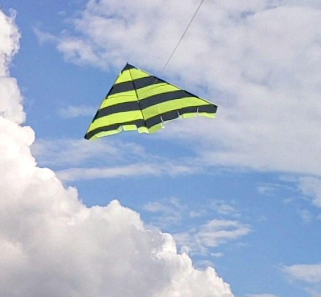2x Personalisable Morgan Kites Bumblebee Delta Kites - Etsy