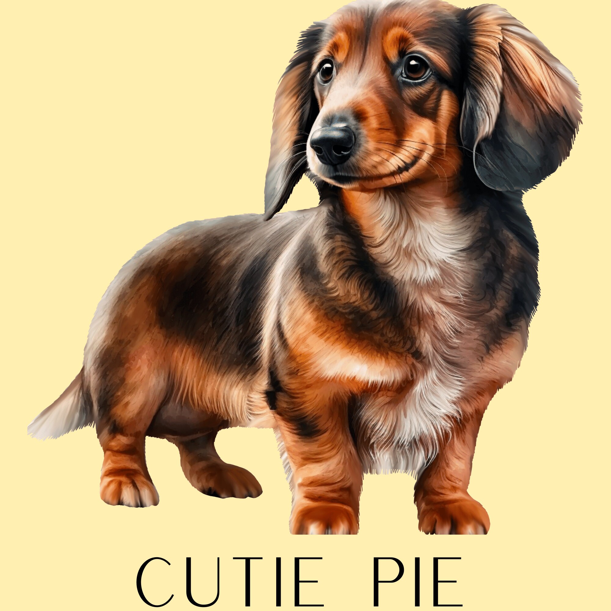 Long-haired Doxie Dog Digital Art Prints Dachshund Dog - Etsy