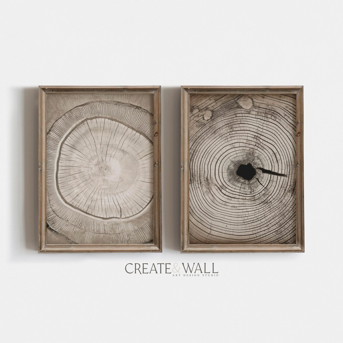 Forest Tree Ring Art Earth Tones Art Set of 6 Organic Wall Art Home ...