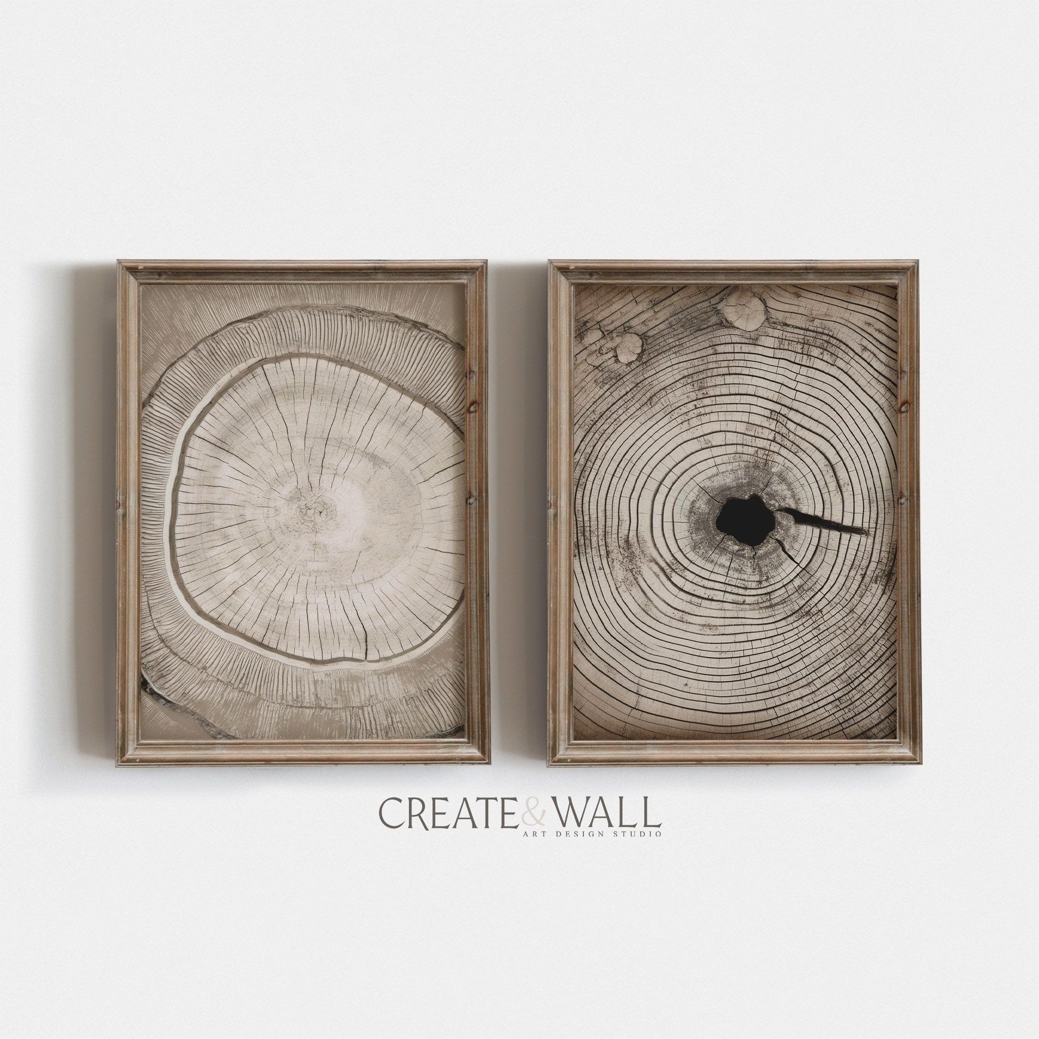 Forest Tree Ring Art Earth Tones Art Set of 6 Organic Wall Art Home ...