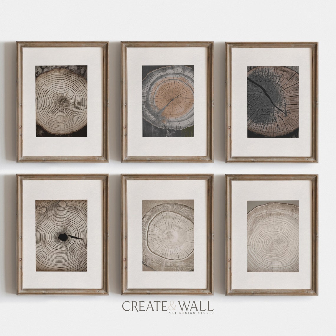 Forest Tree Ring Art Earth Tones Art Set of 6 Organic Wall Art Home ...