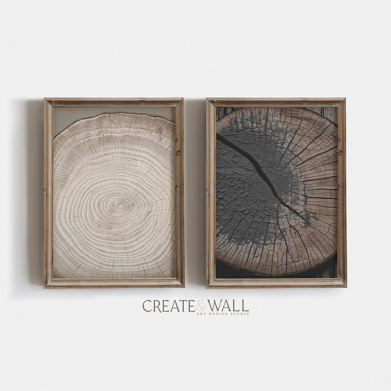 Forest Tree Ring Art Earth Tones Art Set of 6 Organic Wall Art Home ...