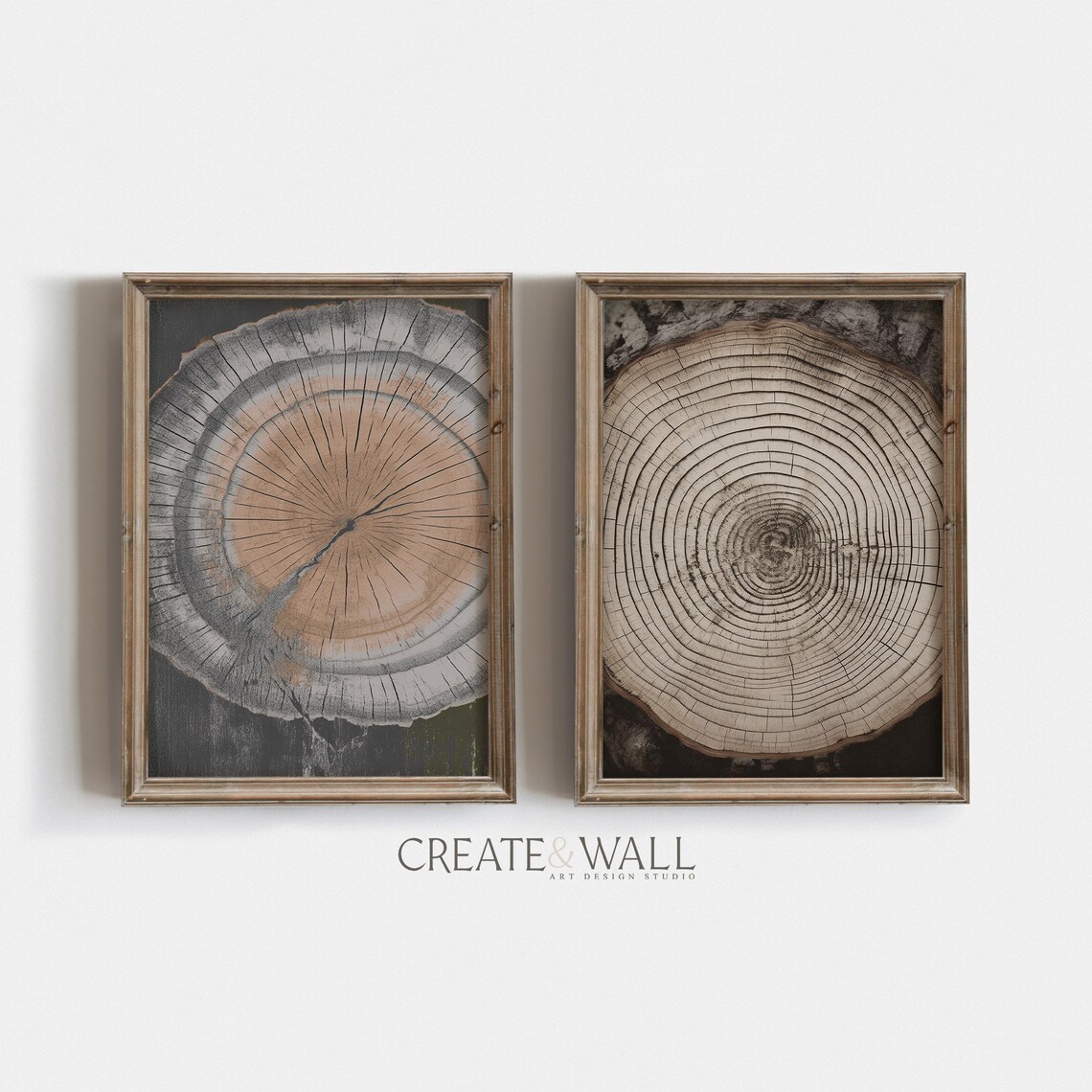 Forest Tree Ring Art Earth Tones Art Set of 6 Organic Wall Art Home ...
