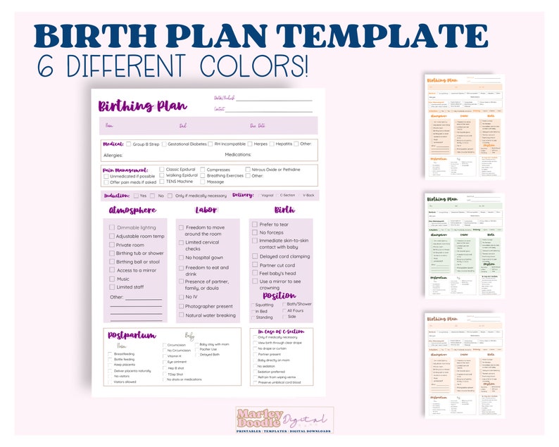 Editable Birth Plan Template Bundle: Canva & Fillable (digital Download ...