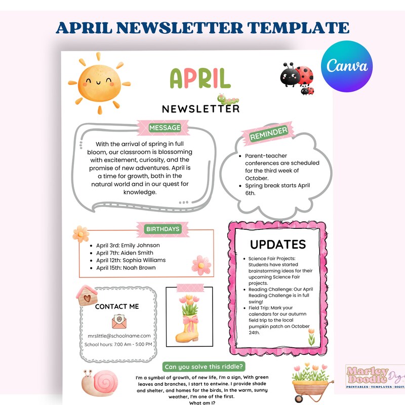 Newsletter Template - Etsy