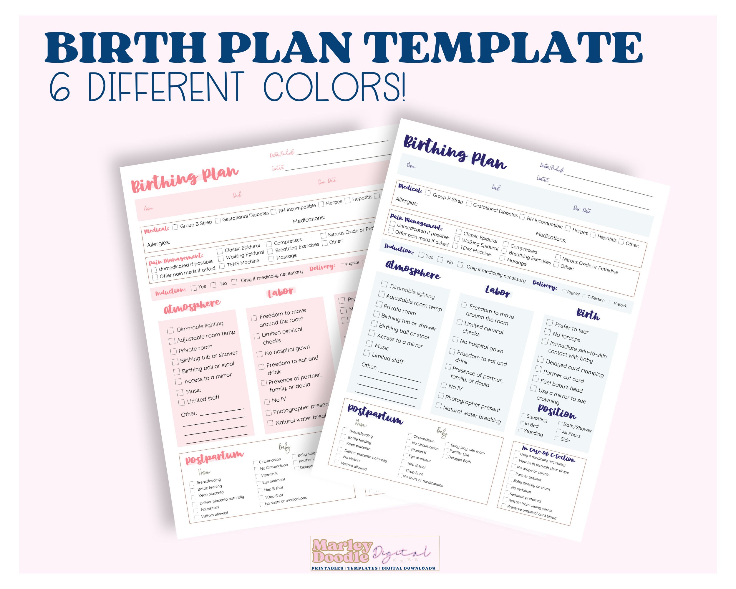 Editable Birth Plan Template, Fillable Birth Plan Bundle - Etsy