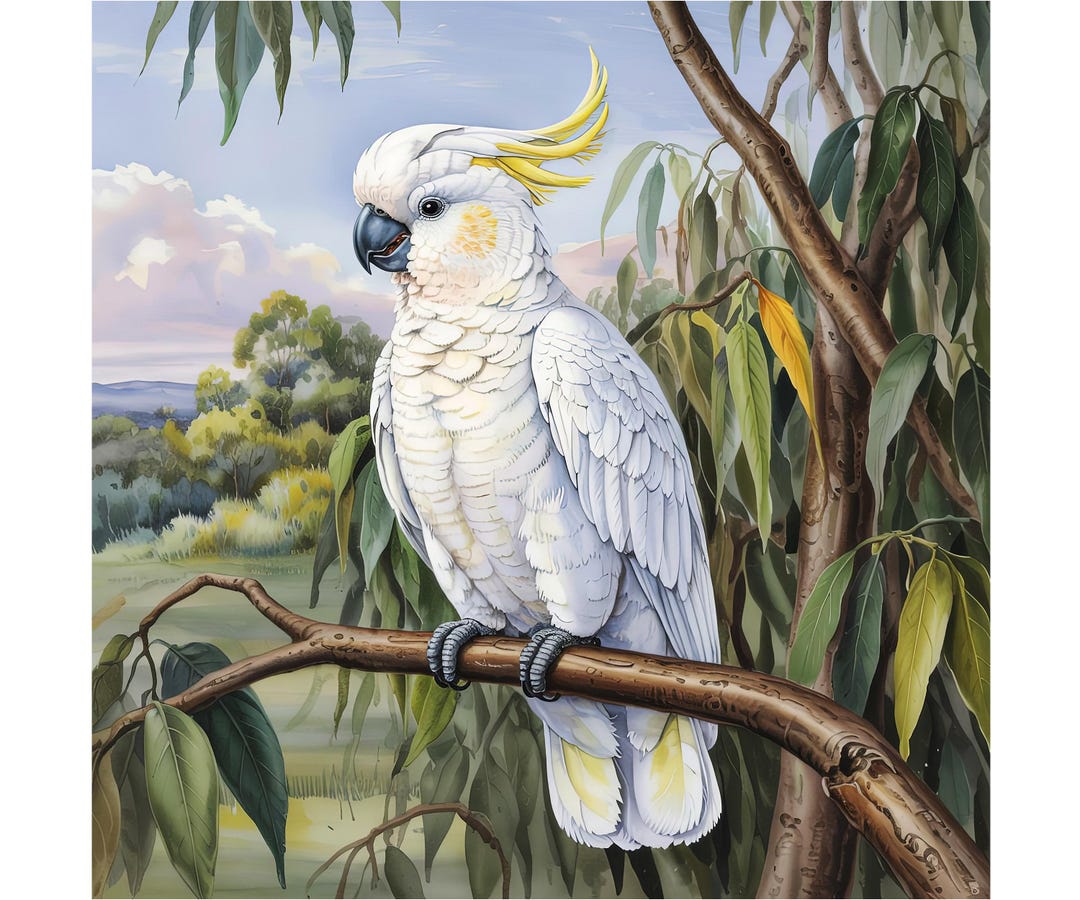 Australian Sulphur-crested Cockatoo | Home Decor | Native Birds ...