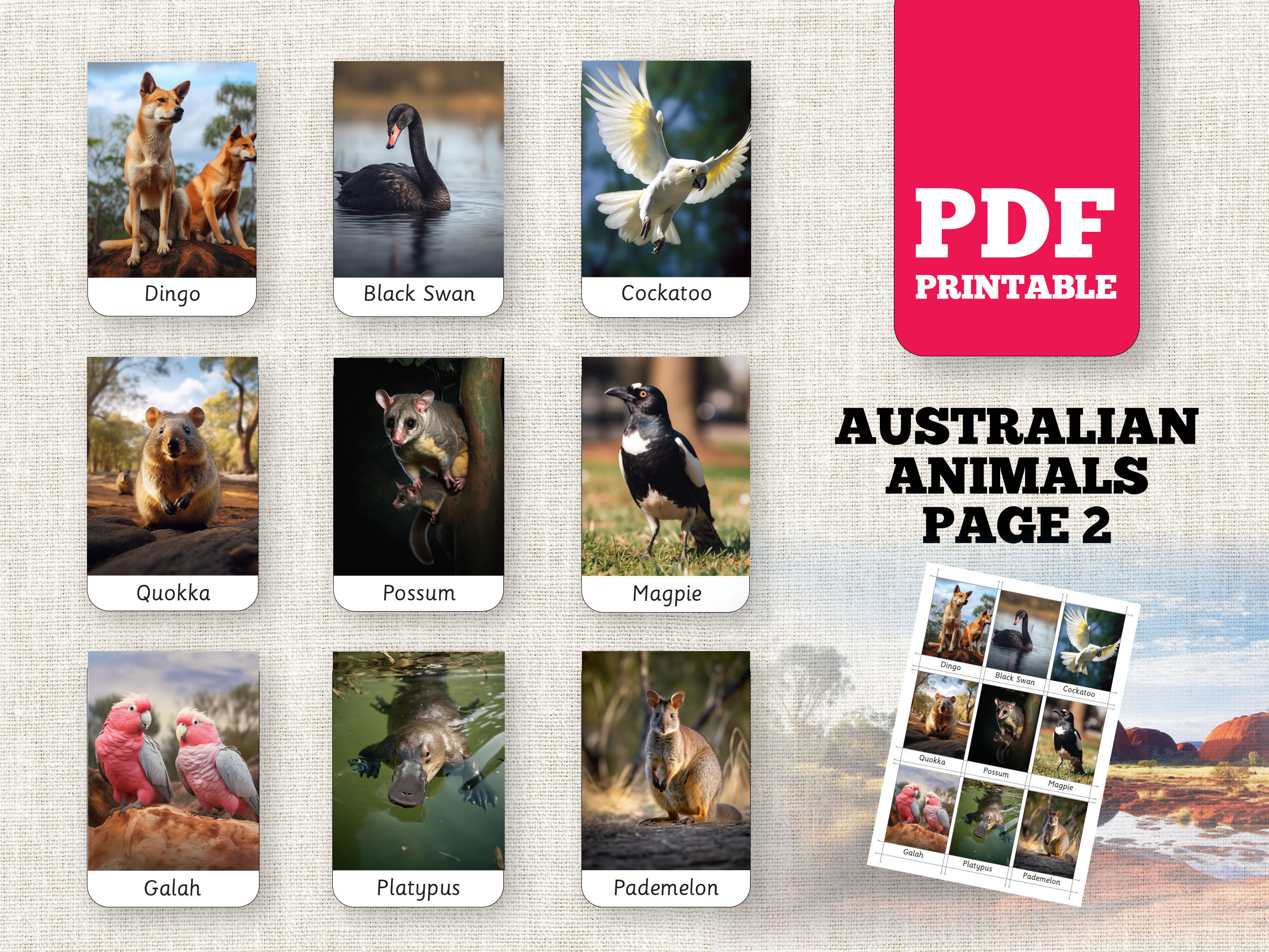 ANIMALS FLASH Cards for Kids: Preschool, Montessori, Primary Education ...