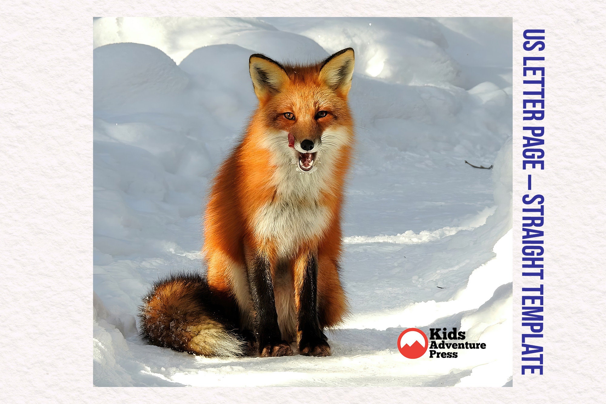 RED FOX 20oz Tumbler Sublimation Design - Native North American Animal ...