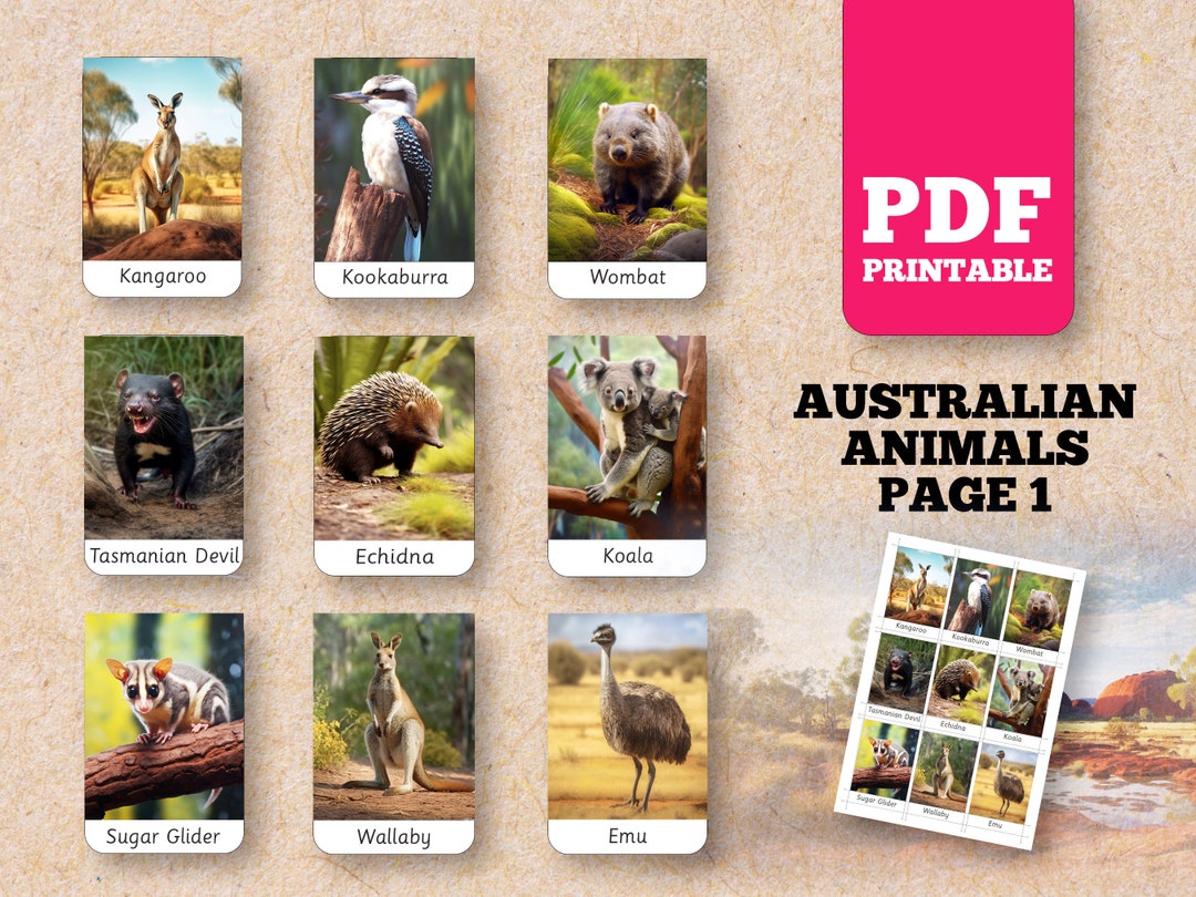 AUSTRALIAN ANIMAL CARDS 27 Animals Montessori 3-part Cards - Etsy