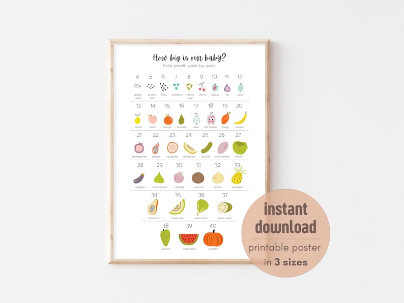 How Big is Our Baby Printable Week by Week Fetal Growth Chart Poster ...