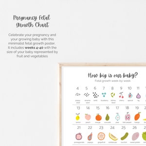 How Big is Our Baby Printable Week by Week Fetal Growth Chart Poster ...