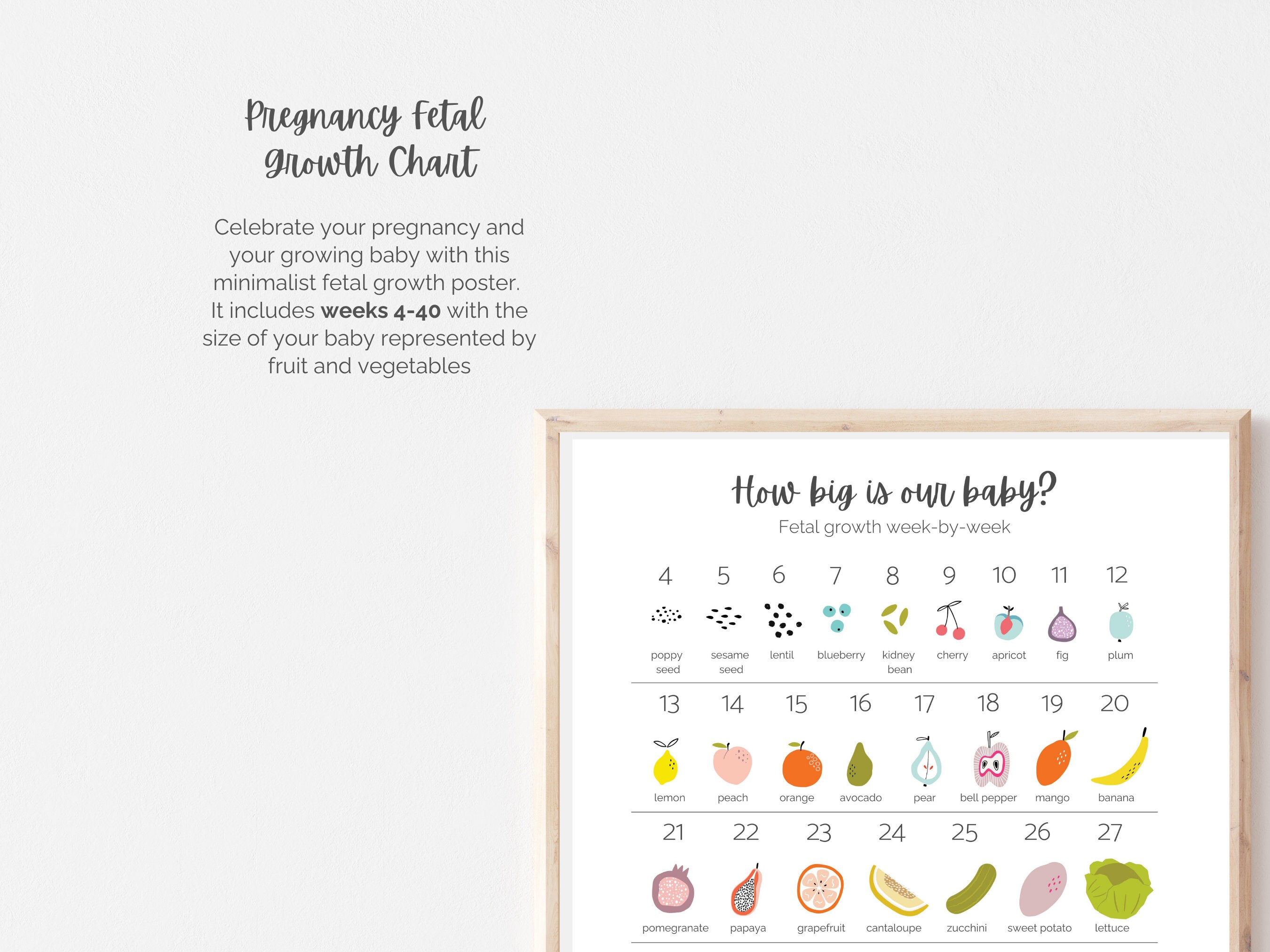How Big is Our Baby Printable Week by Week Fetal Growth Chart Poster ...