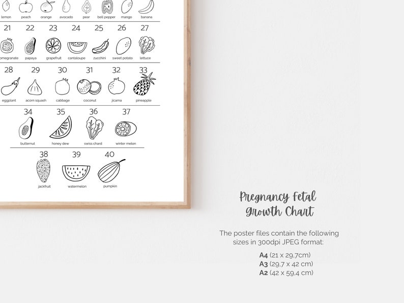 Fetal Growth Chart Poster: Week-by-week, Fruit & Vegetable Theme ...