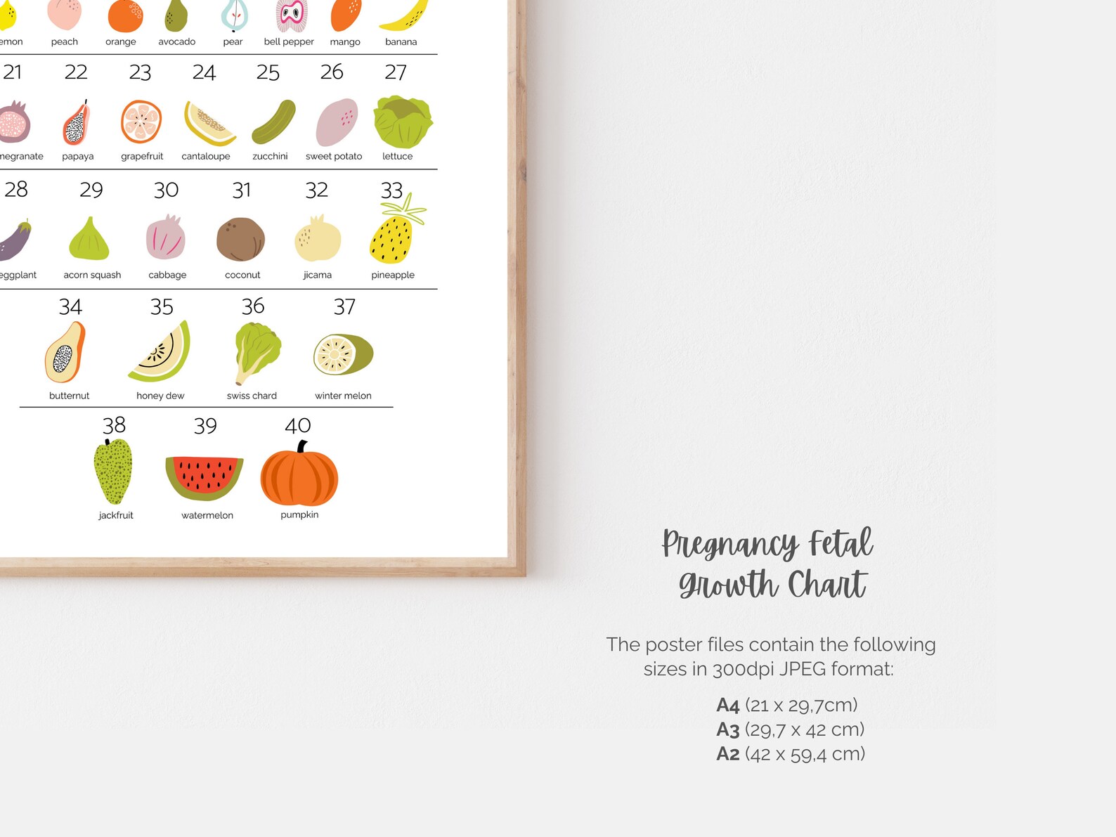 Fetal Growth Chart Poster: Week-by-week Baby Size (digital Download) - Etsy