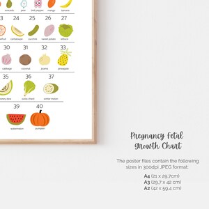 Fetal Growth Chart Poster: Week-by-week Baby Size (digital Download) - Etsy