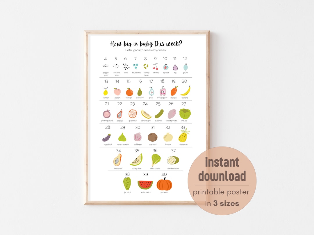Fetal Growth Chart Poster: Week-by-week Baby Size (digital Download) - Etsy