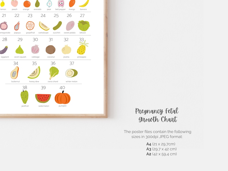 How Big is Our Baby Printable Week by Week Fetal Growth Chart Poster ...