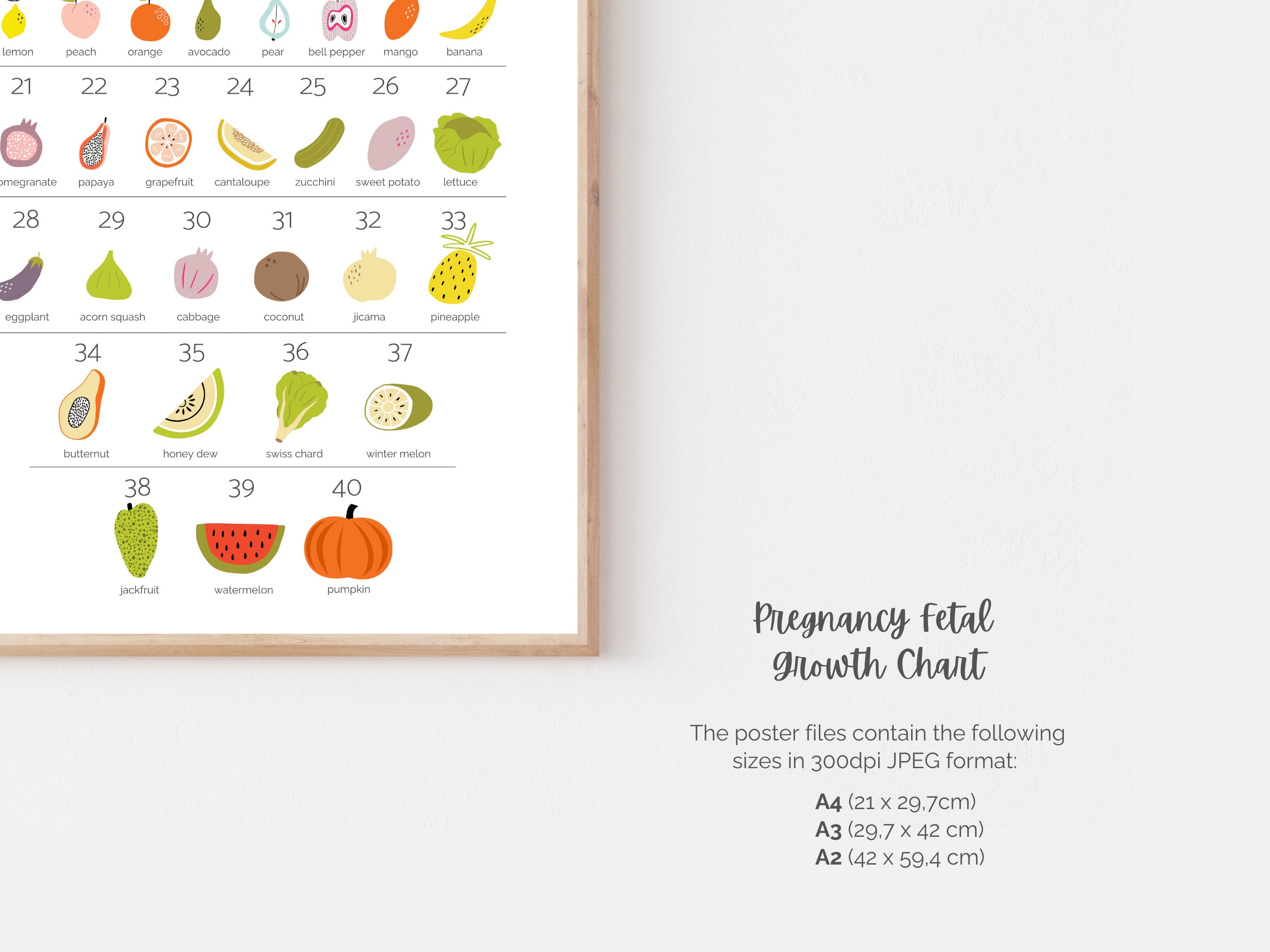 How Big is Our Baby Printable Week by Week Fetal Growth Chart Poster ...