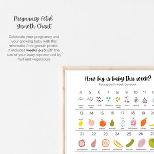 Fetal Growth Chart Poster: Week-by-week Baby Size (digital Download) - Etsy
