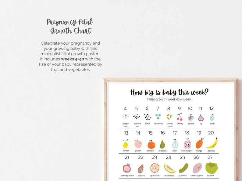 Fetal Growth Chart Poster: Week-by-week Baby Size (digital Download) - Etsy