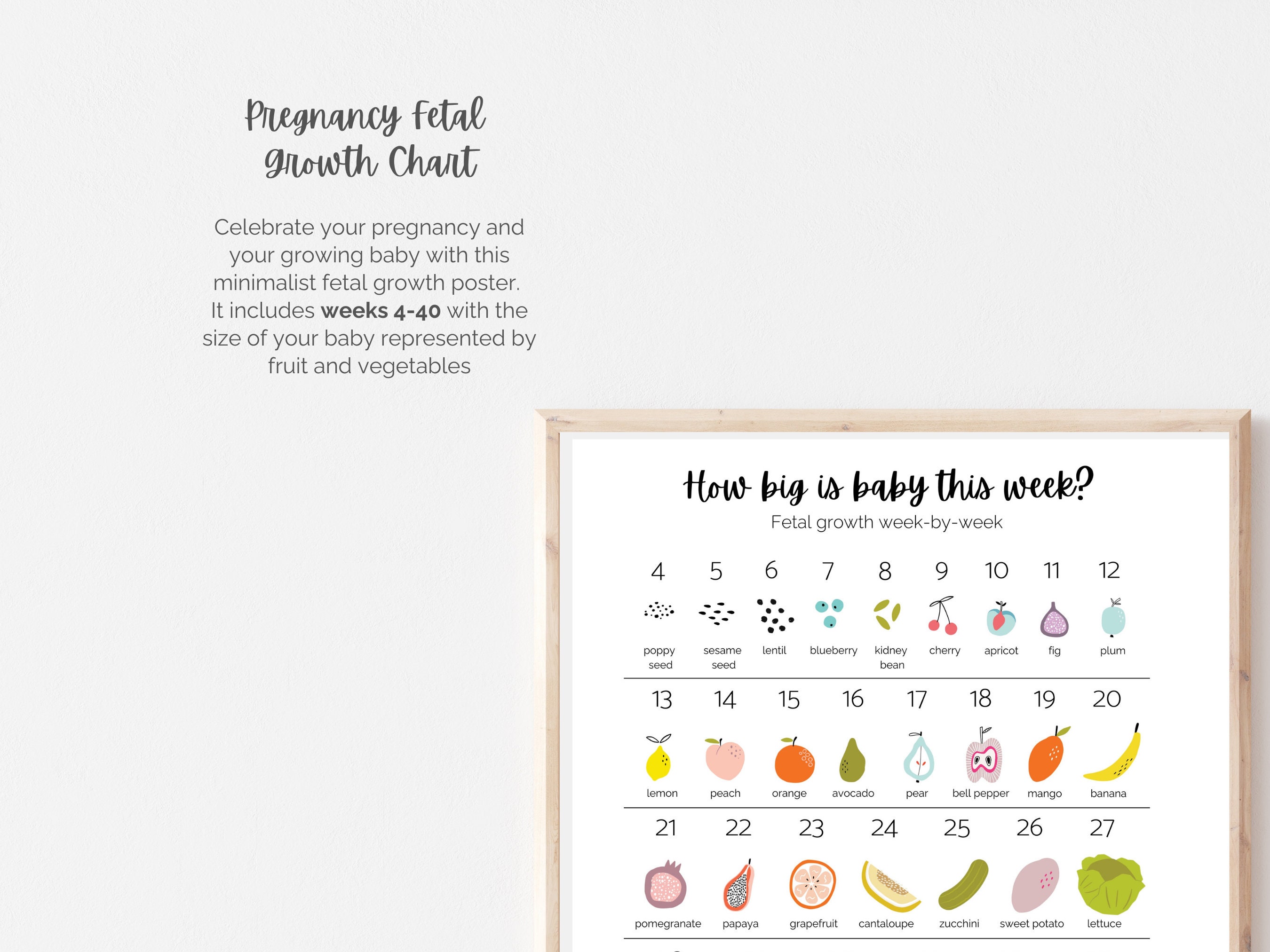 Fetal Growth Chart Poster: Week-by-week Baby Size (digital Download) - Etsy