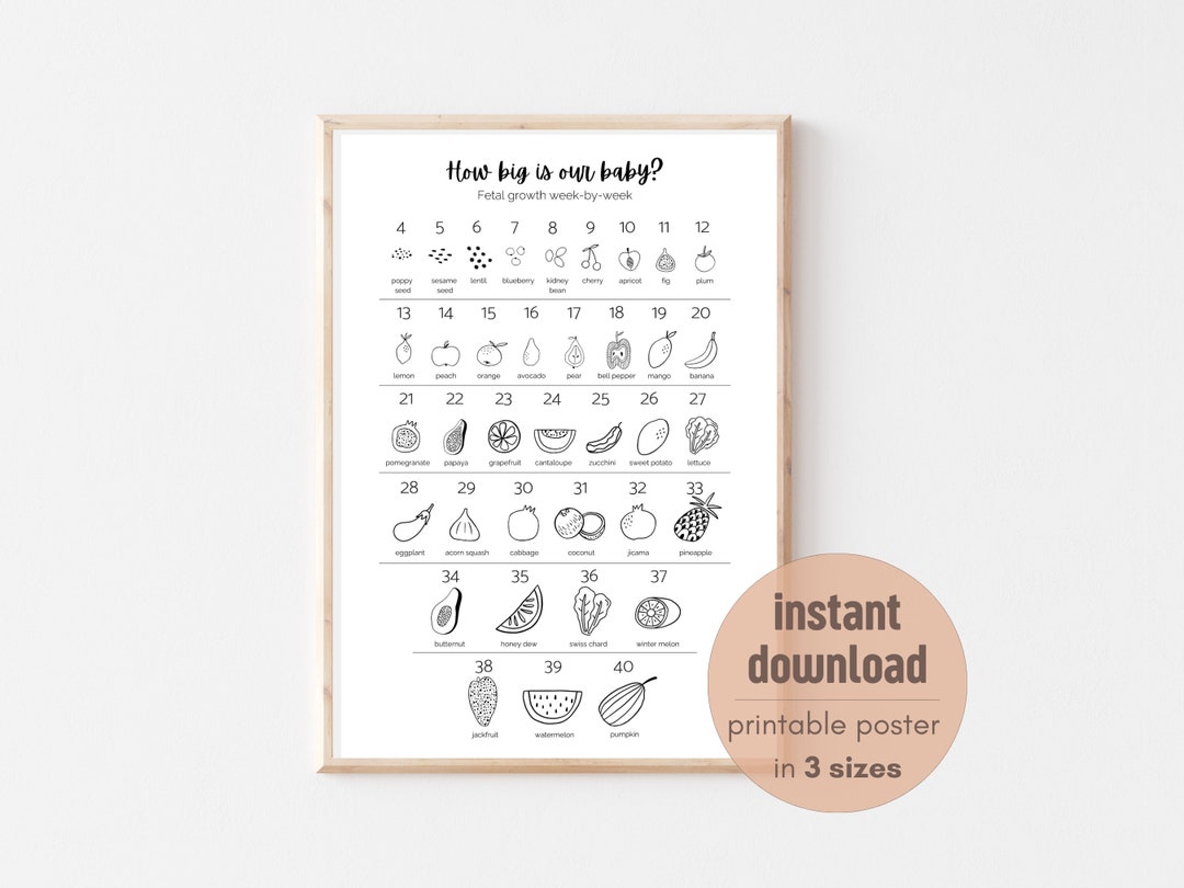 Fetal Growth Chart Poster: Week-by-week, Fruit & Vegetable Theme ...