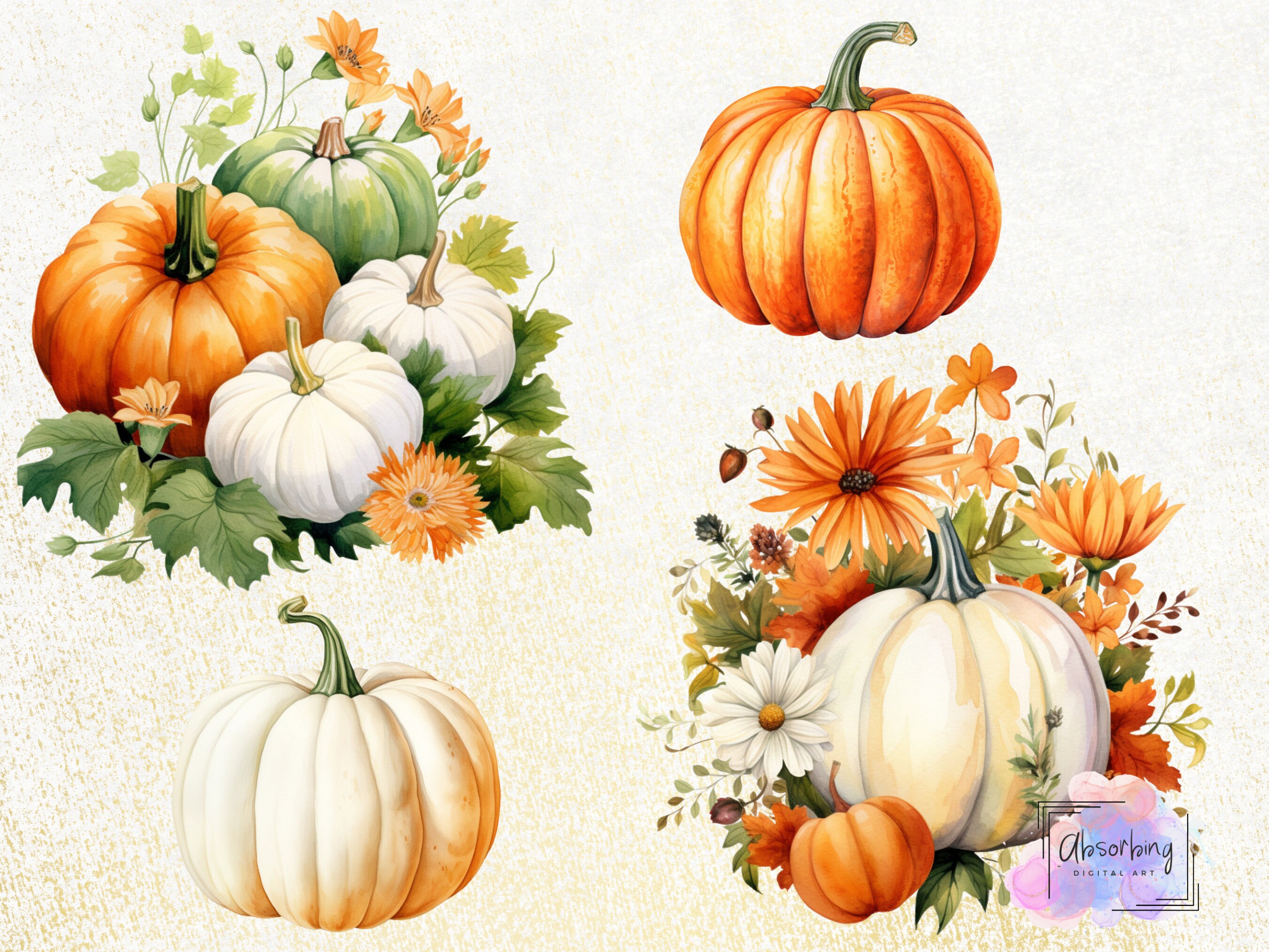 Fall Pumpkin Harvest Clipart Bundle: Autumn Gourds With Floral Accents ...